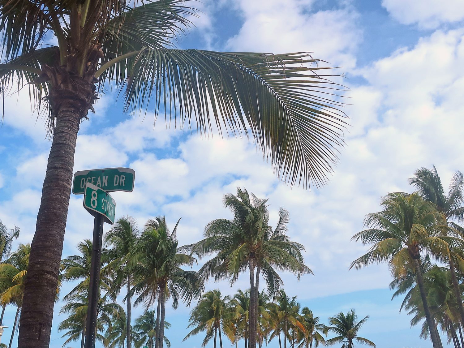 Dexter-Drehorte: 9 Locations in Miami, wo man Dexter Morgan begegnen kann