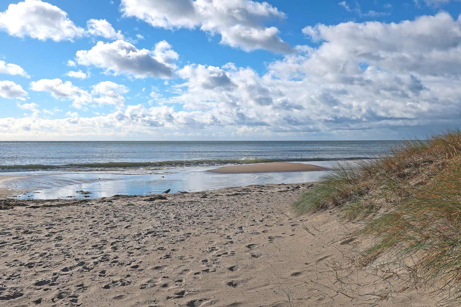 Besser wissen, besser reisen: 12 Fakten über die Nordsee