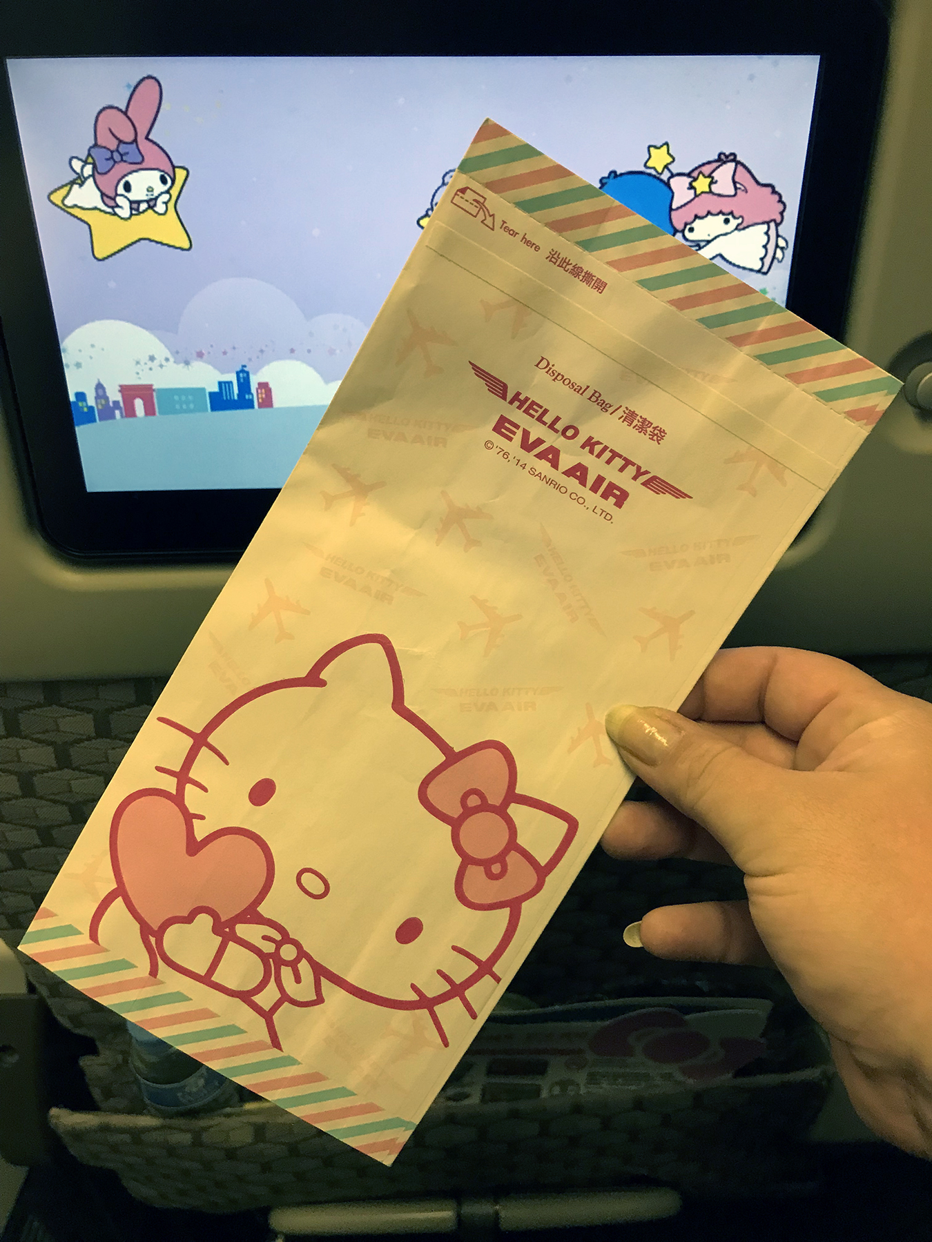 Hello Kitty-Flugzeug: 10 Fakten über einen Flug im Hello Kitty-Jet