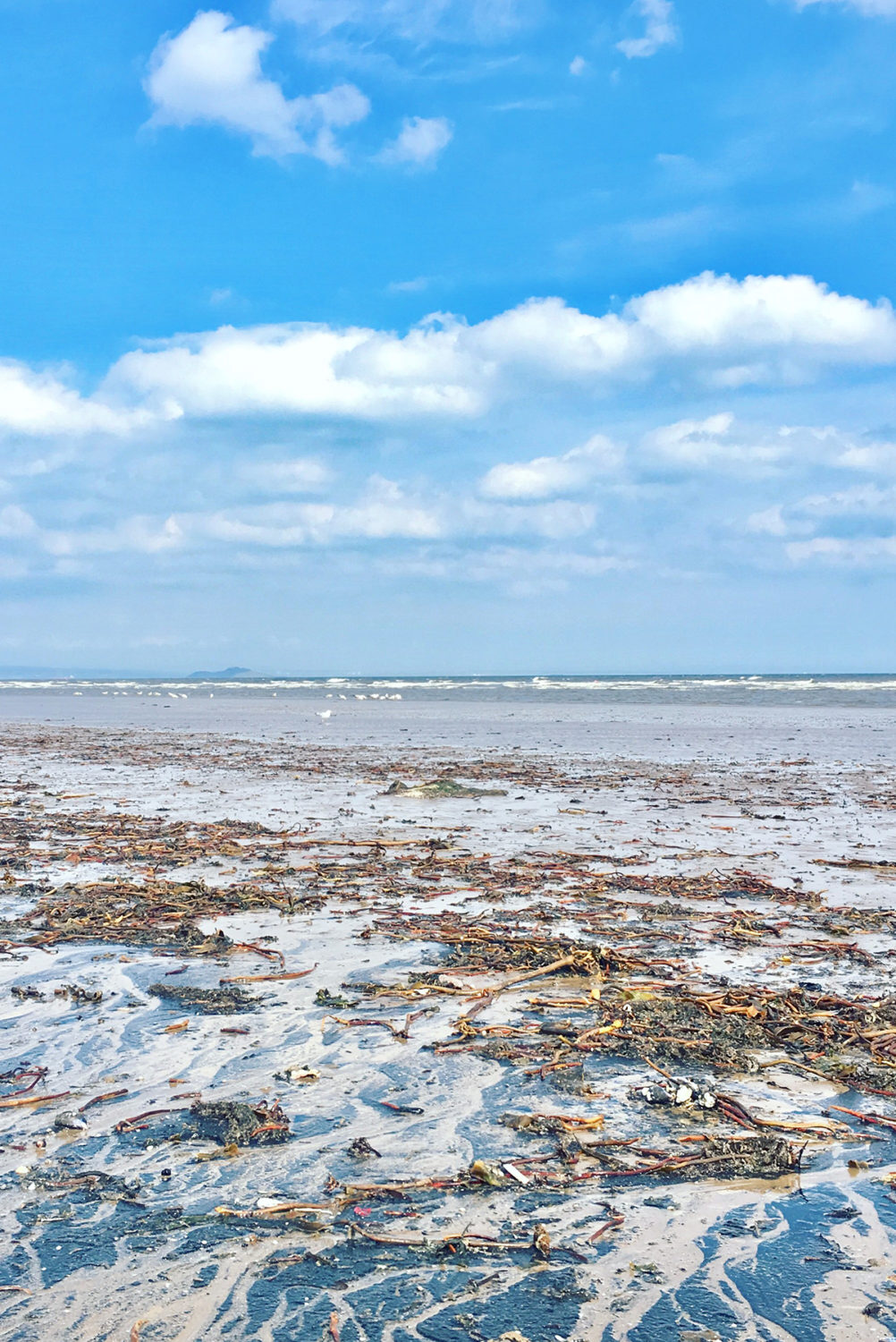Portobello Beach: Geheimtipps für den Stadtstrand von Edinburgh