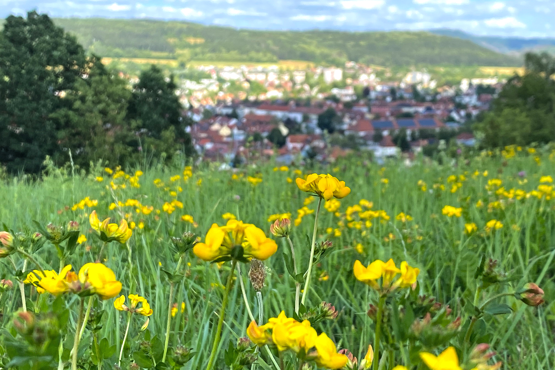 Highlights Frankenwald: 15 Sehenswürdigkeiten und Geheimtipps