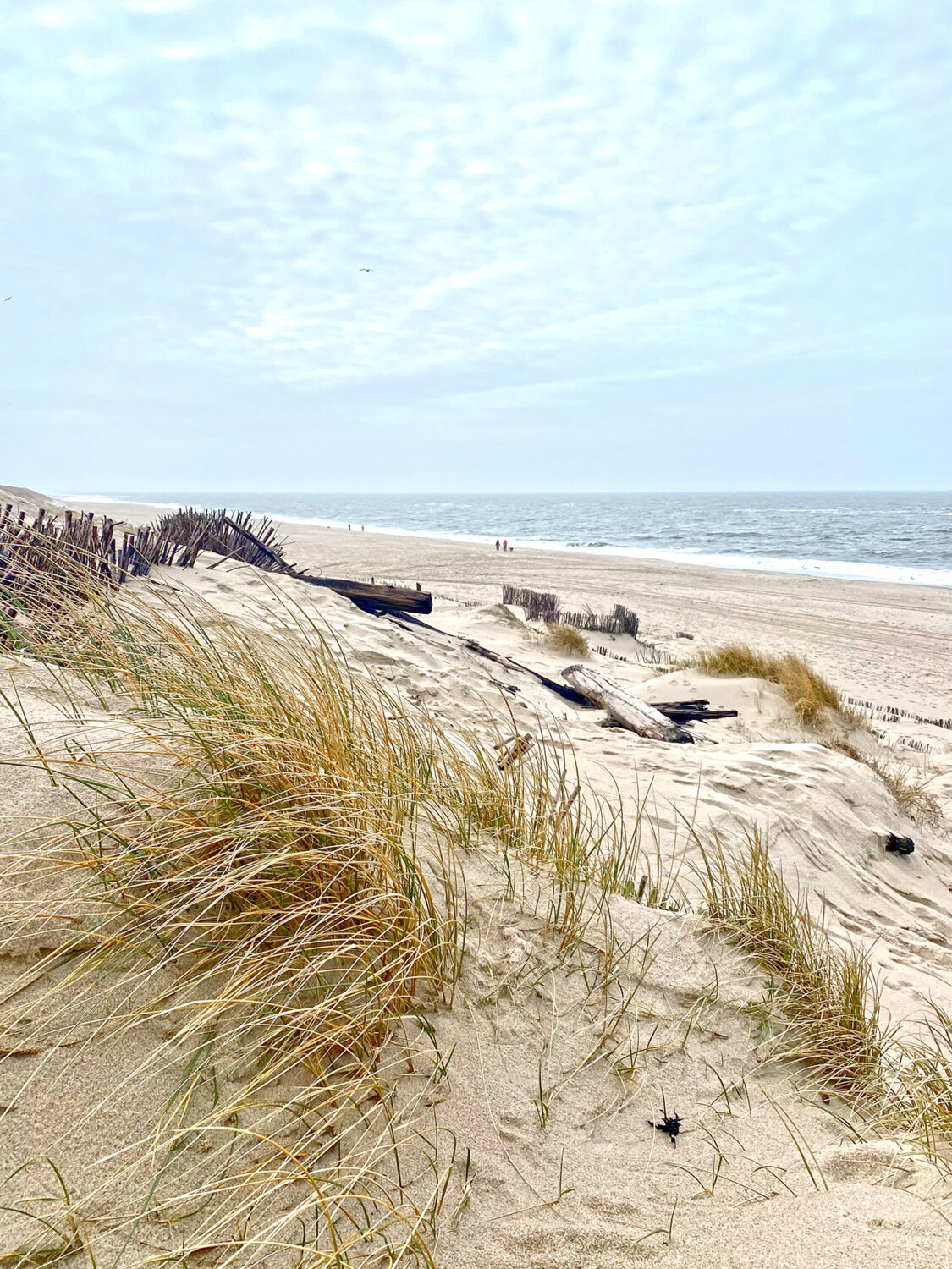 Sylt im Winter: Die besten Tipps, Aktivitäten und Adressen