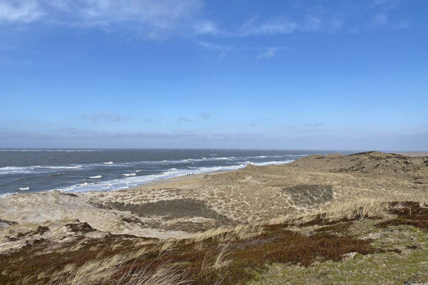 Sylt im Winter: Die besten Tipps, Aktivitäten und Adressen