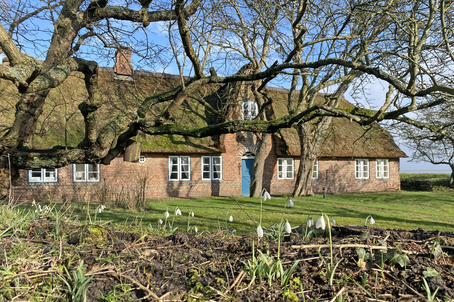 Sylt im Winter: Die besten Tipps, Aktivitäten und Adressen