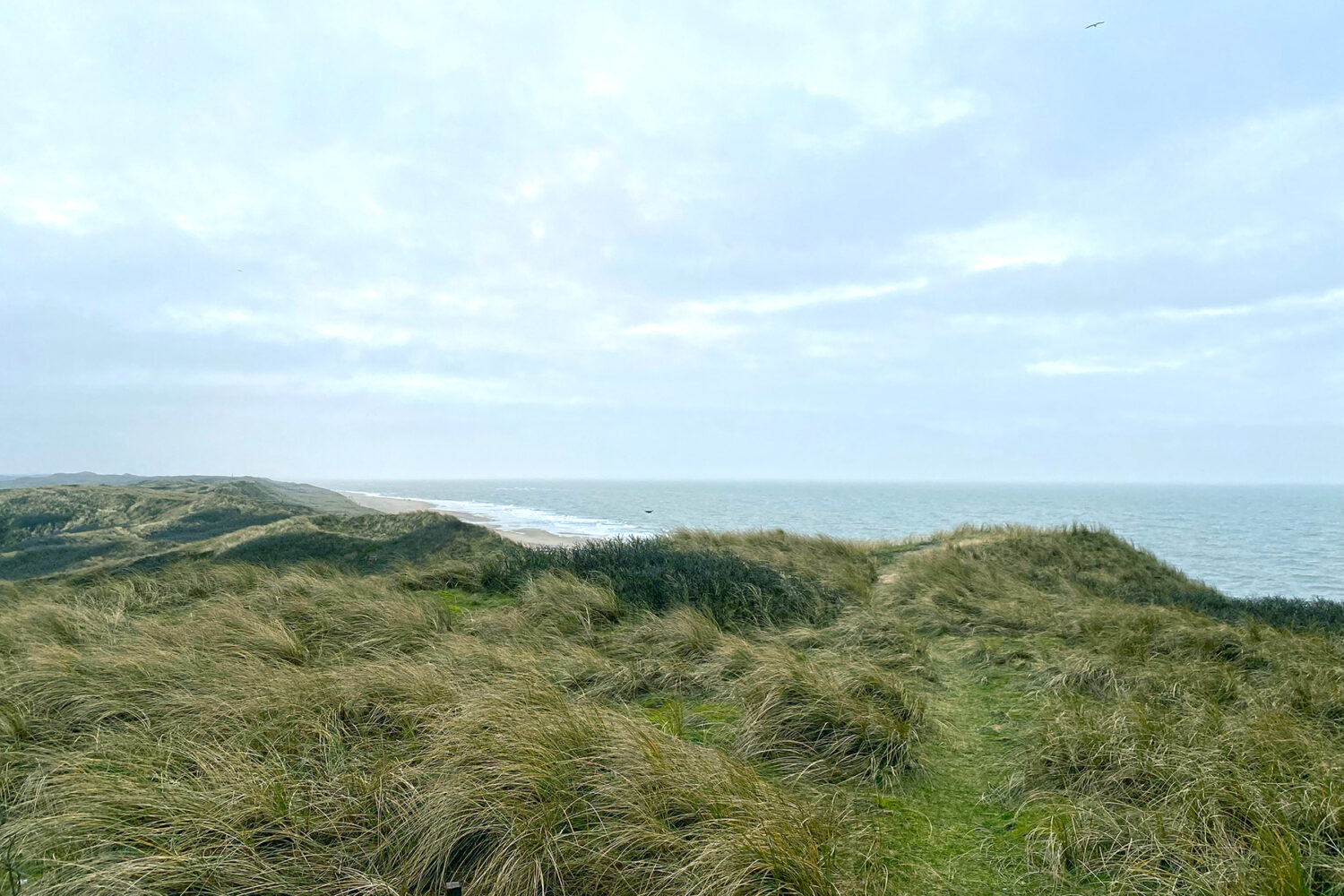 Sylt im Winter: Die besten Tipps, Aktivitäten und Adressen