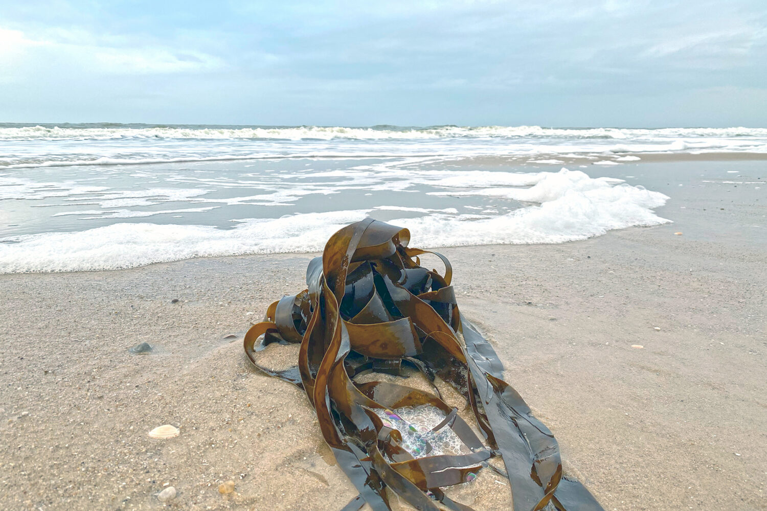 Sylt im Winter: Die besten Tipps, Aktivitäten und Adressen