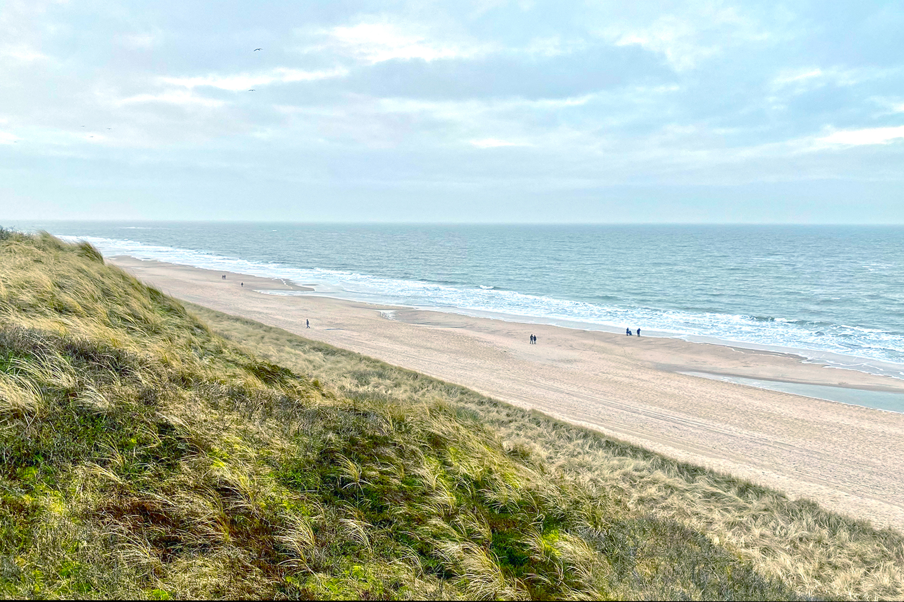 Biike auf Sylt: Wenn die Inselfeuer brennen & der Grünkohl dampft